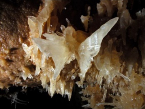 SCP-553_百度百科