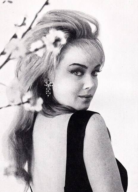 Edy Vessel_百度百科