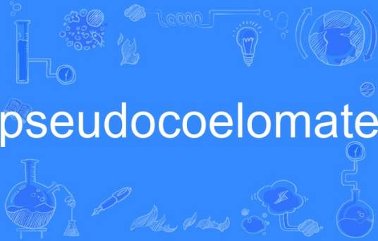 pseudocoelomate_百度百科