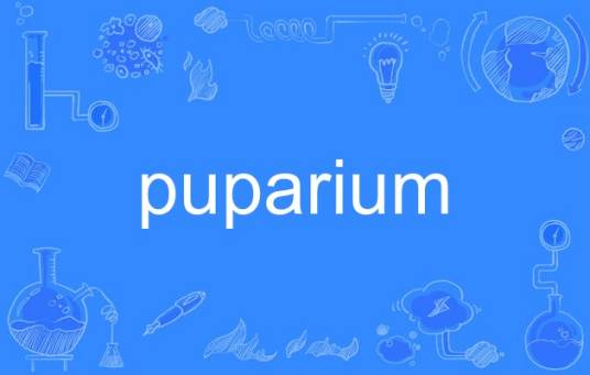 puparium_百度百科