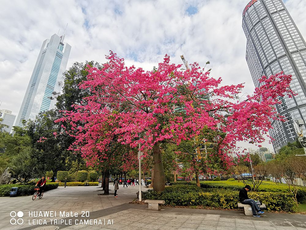 华为Mate 20 AI拍照评测：麒麟980带你看更美的世界_百科TA说
