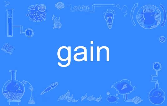 Gain（英语单词）_百度百科