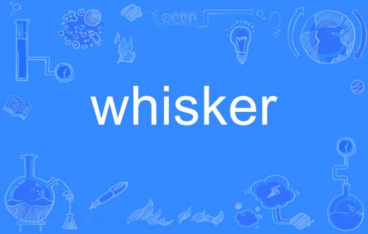whisker_百度百科