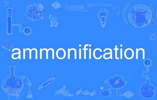 ammonification_百度百科