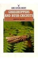 Grasshoppers and Bush Crickets of the British Isles_百度百科
