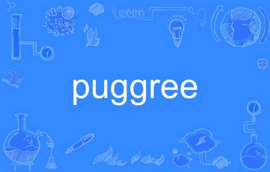 puggree_百度百科