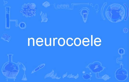 neurocoele_百度百科