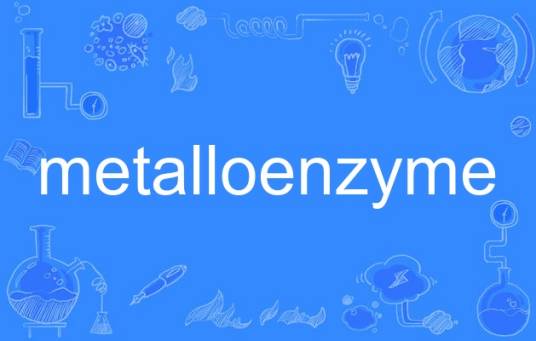 metalloenzyme_百度百科