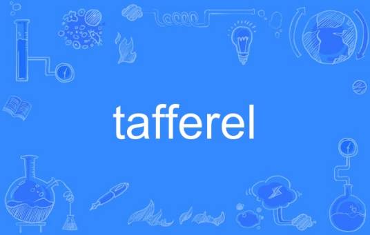 tafferel_百度百科