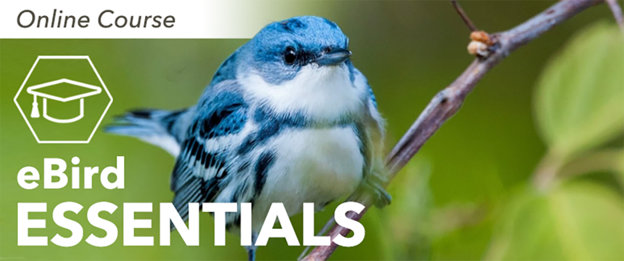 eBird_百度百科