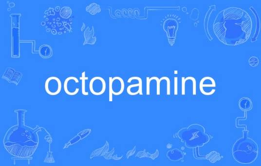 octopamine（英语单词）_百度百科