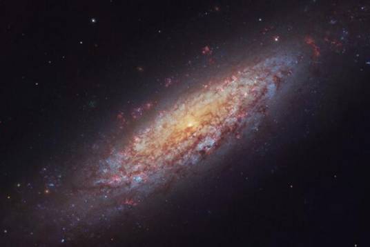 ngc 6503_百度百科