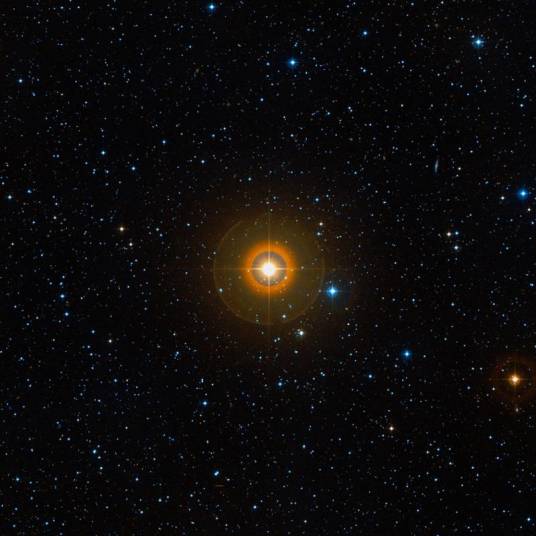 参旗九_百度百科