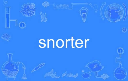 snorter_百度百科