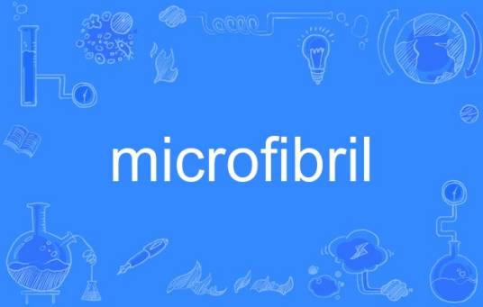 microfibril_百度百科