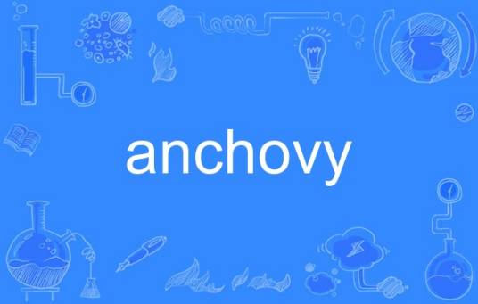 anchovy_百度百科