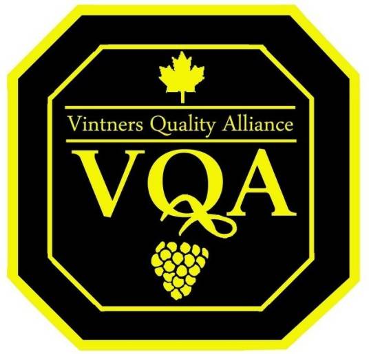 VQA_百度百科
