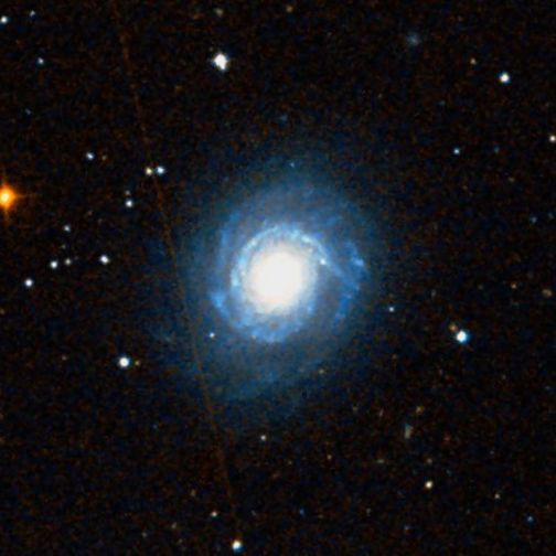 NGC 3147_百度百科