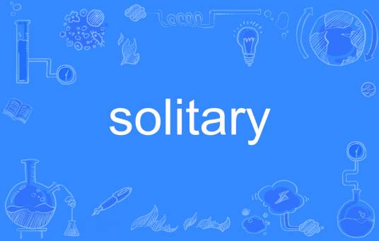 Solitary（英语单词）_百度百科