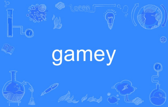 gamey_百度百科