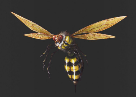 生化危机（1996年CAPCOM发行的生存恐怖游戏）_百度百科