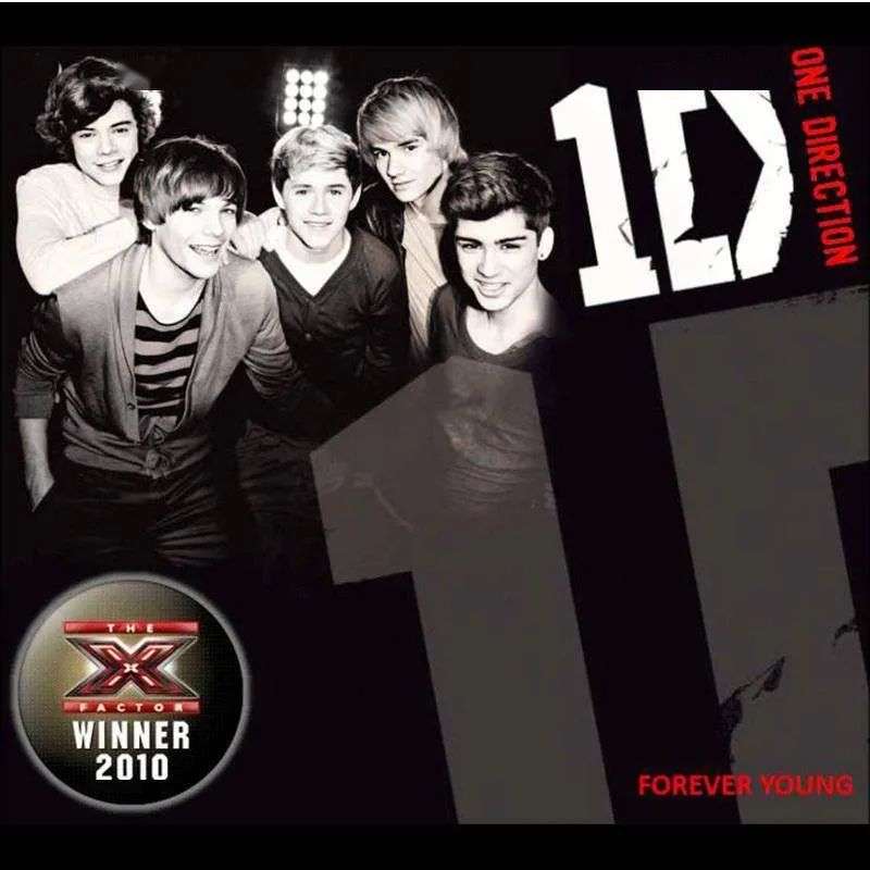 One Direction 10周年再聚首，欧美男团已然青黄不接_百科TA说