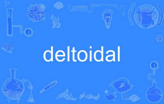 deltoidal_百度百科