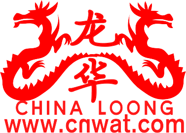 中国龙华国际集团有限公司_百度百科