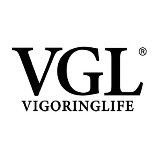 VGL（品牌）_百度百科