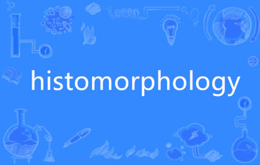 histomorphology_百度百科