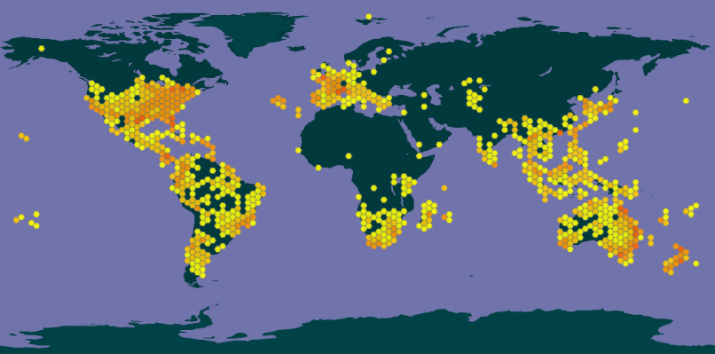 竹节虫（竹节虫目昆虫的通称）_百度百科
