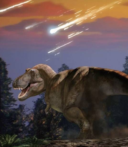 金刚口龙_百度百科