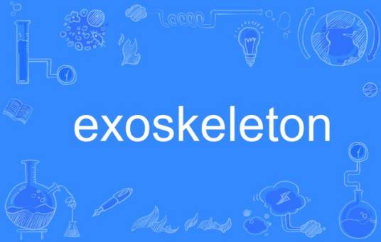 exoskeleton_百度百科
