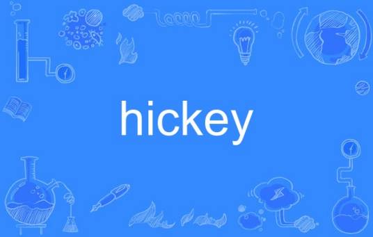 hickey（英语单词）_百度百科