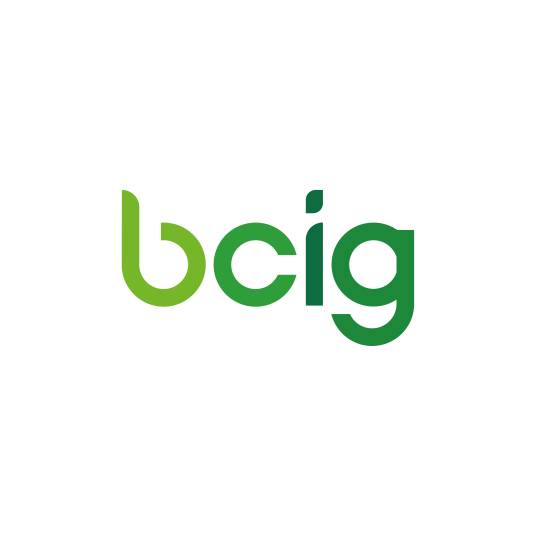 BCI Group_百度百科