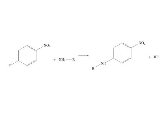 DNFB反应_百度百科