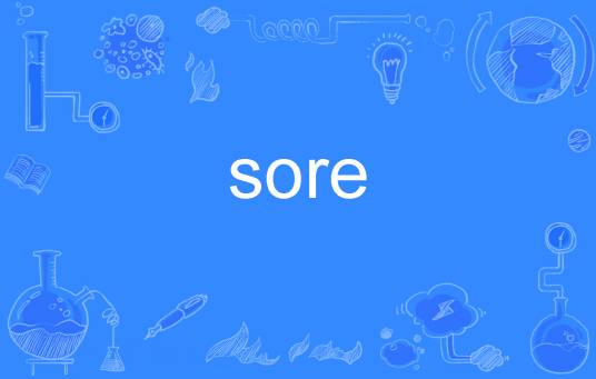 sore（英文单词）_百度百科