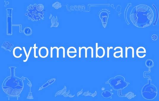 cytomembrane_百度百科