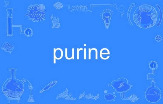 purine_百度百科