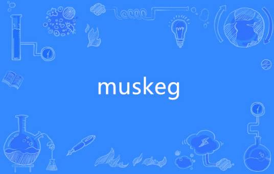 muskeg_百度百科
