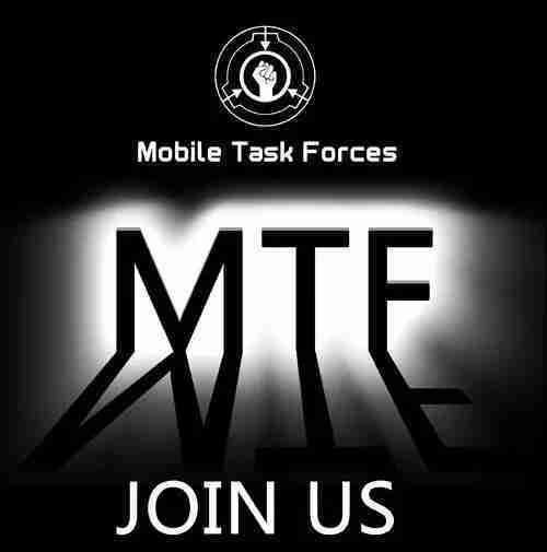 MTF（机动特遣队）_百度百科
