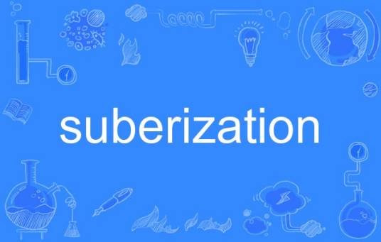 suberization_百度百科