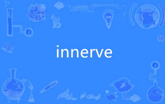 innerve_百度百科