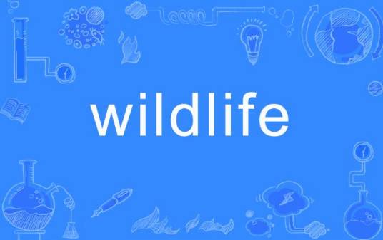 wildlife_百度百科