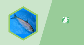 鲥（鱼类）_百度百科