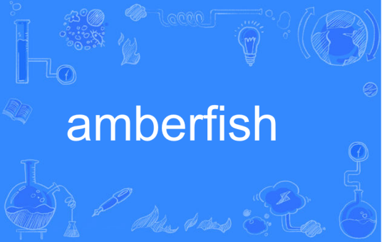 amberfish_百度百科