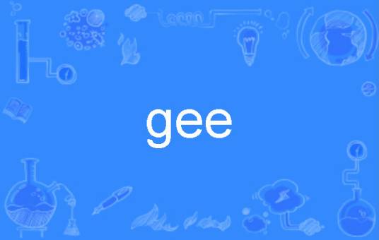 gee（词语解释）_百度百科