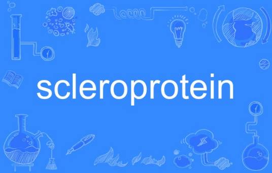 scleroprotein_百度百科