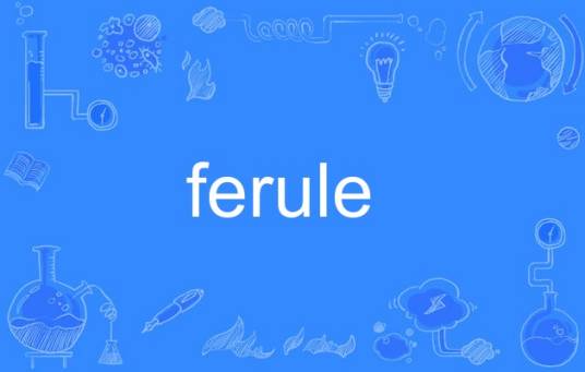 ferule_百度百科