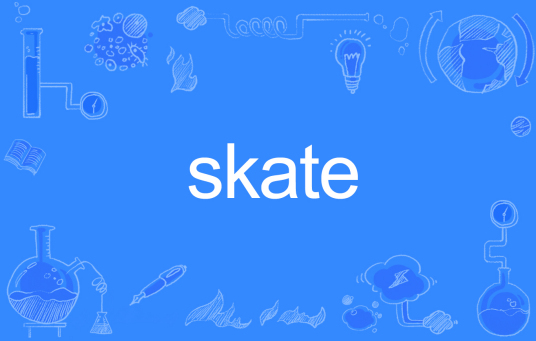 skate（英文单词）_百度百科
